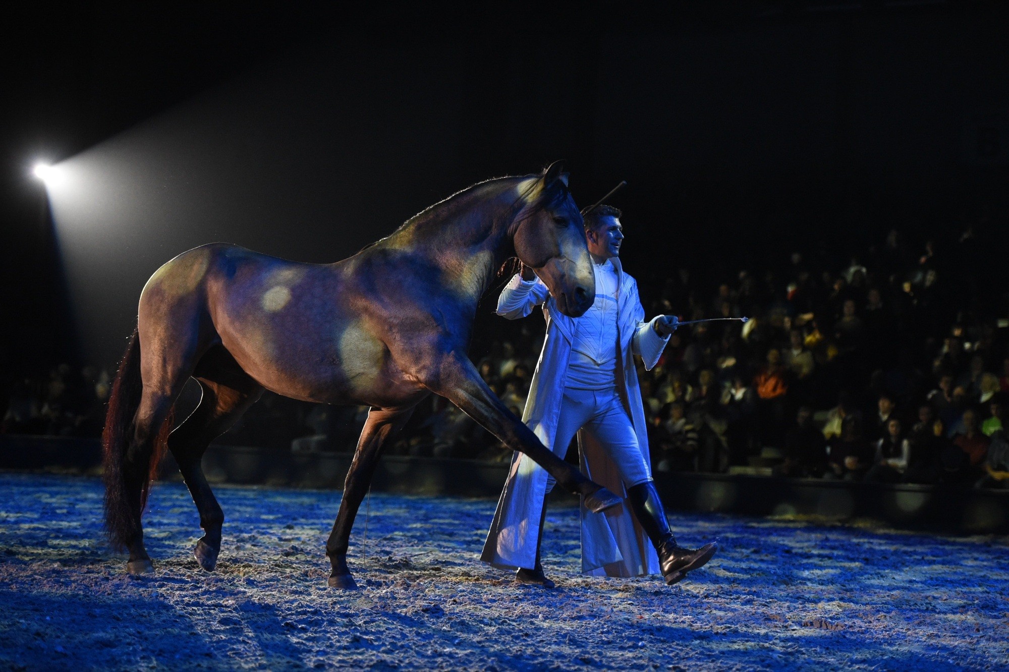 APASSIONATA • 2016-2017 auf Tour durch DE und CH