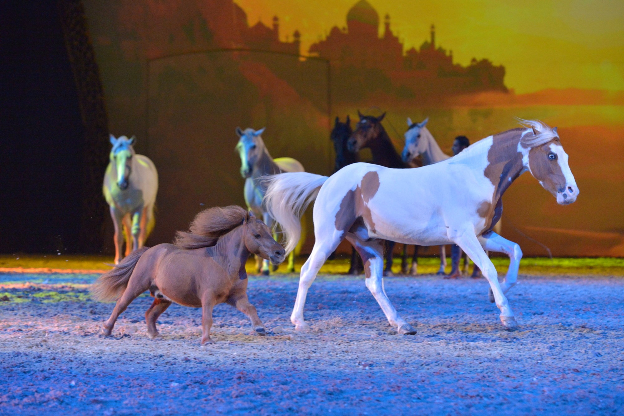 APASSIONATA • 2016-2017 auf Tour durch DE und CH