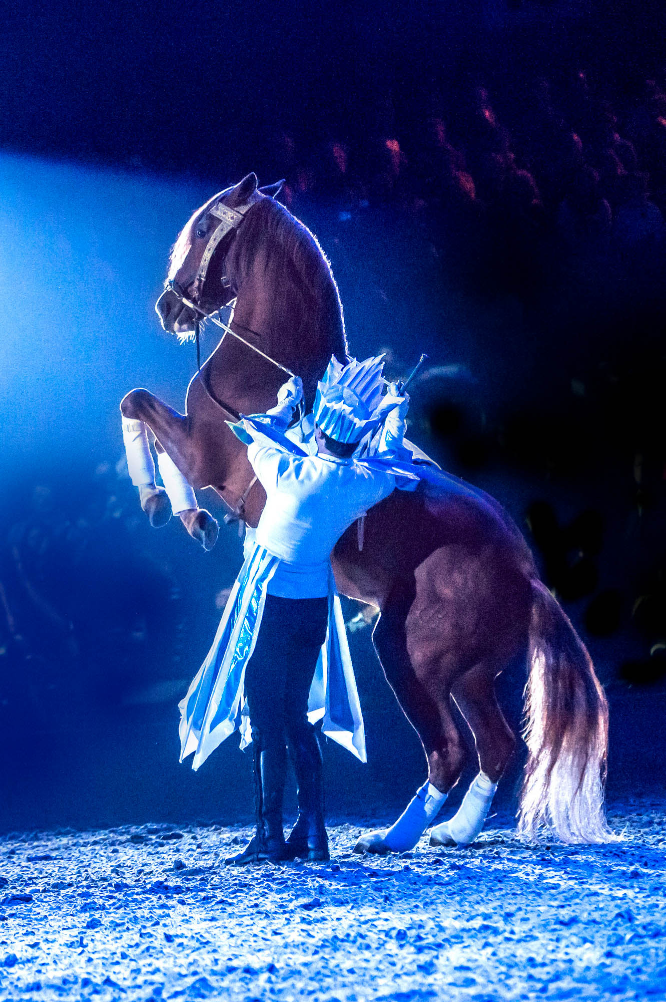 APASSIONATA • 2016-2017 auf Tour durch DE und CH