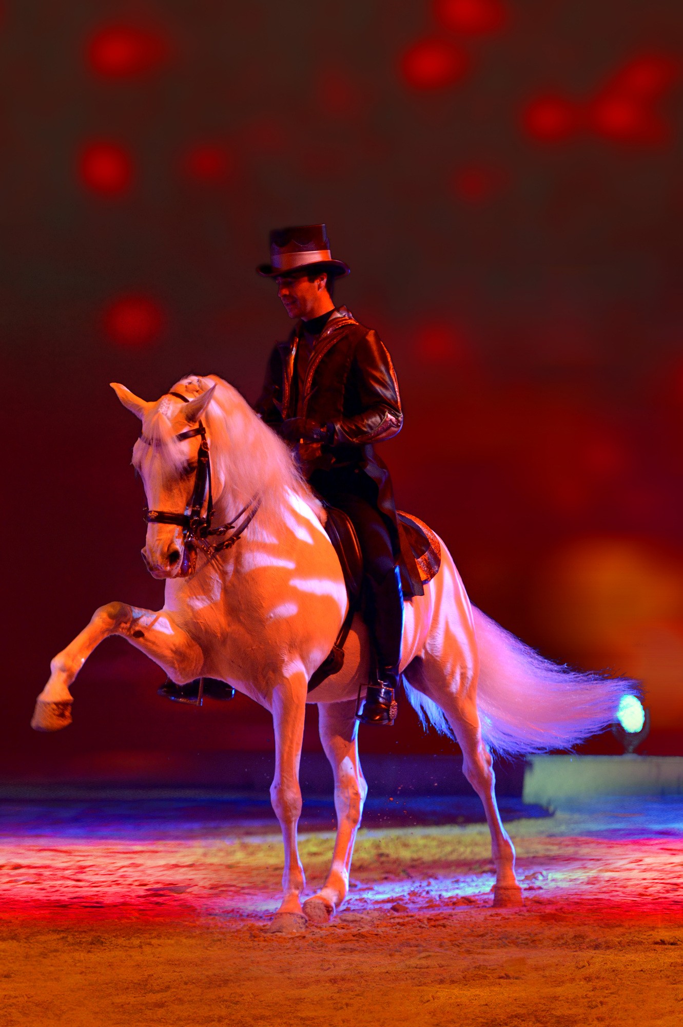 APASSIONATA • 2016-2017 auf Tour durch DE und CH